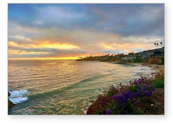 David Moyle - Official Website